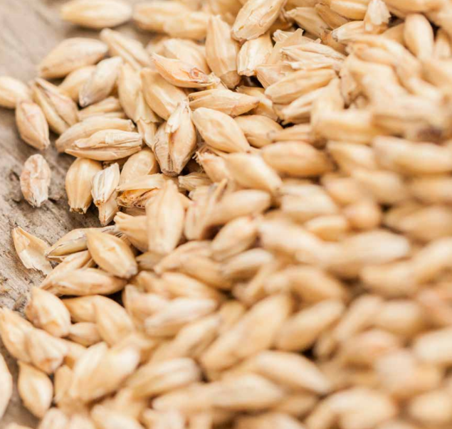 Speciální slad - BEEREX